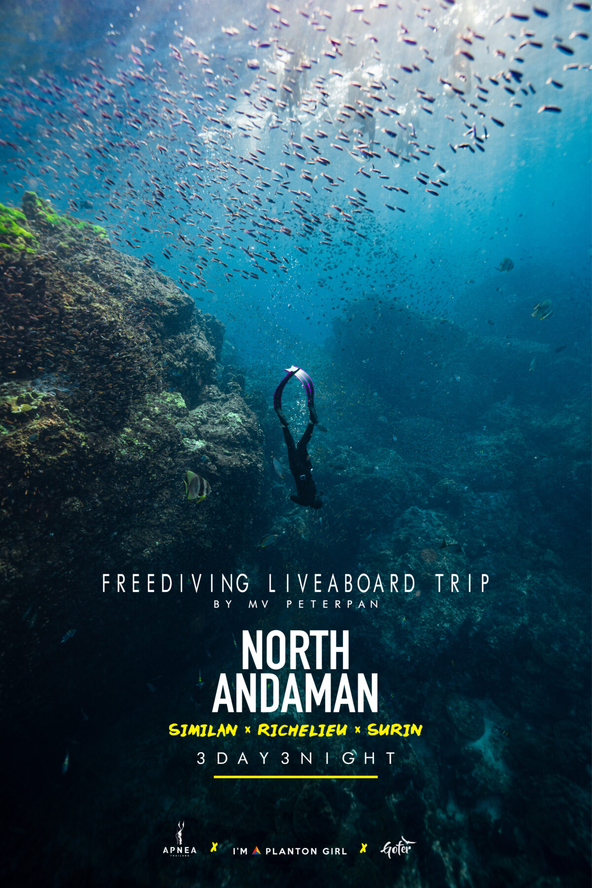 ร่วมทริปดำน้ำฟรีไดฟ์วิ่งไปกับเรา | Our Ocean Tours